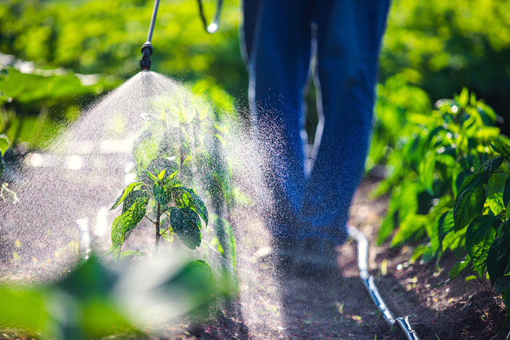 Fighting for Victims of Roundup® Weed Killer Cancer